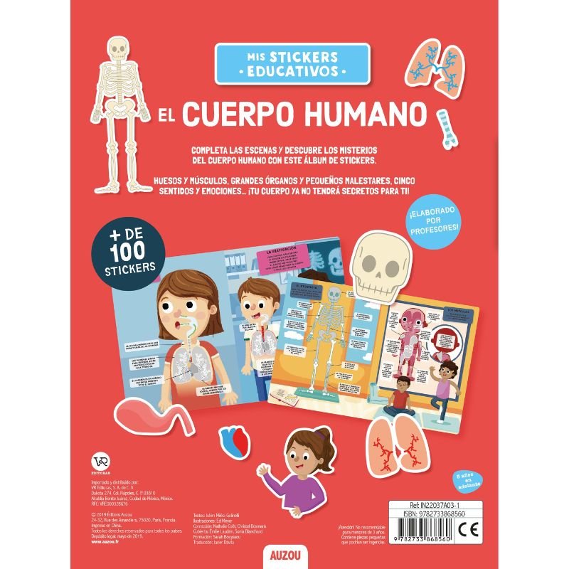 El cuerpo humano, stickers educativos – VR Editoras