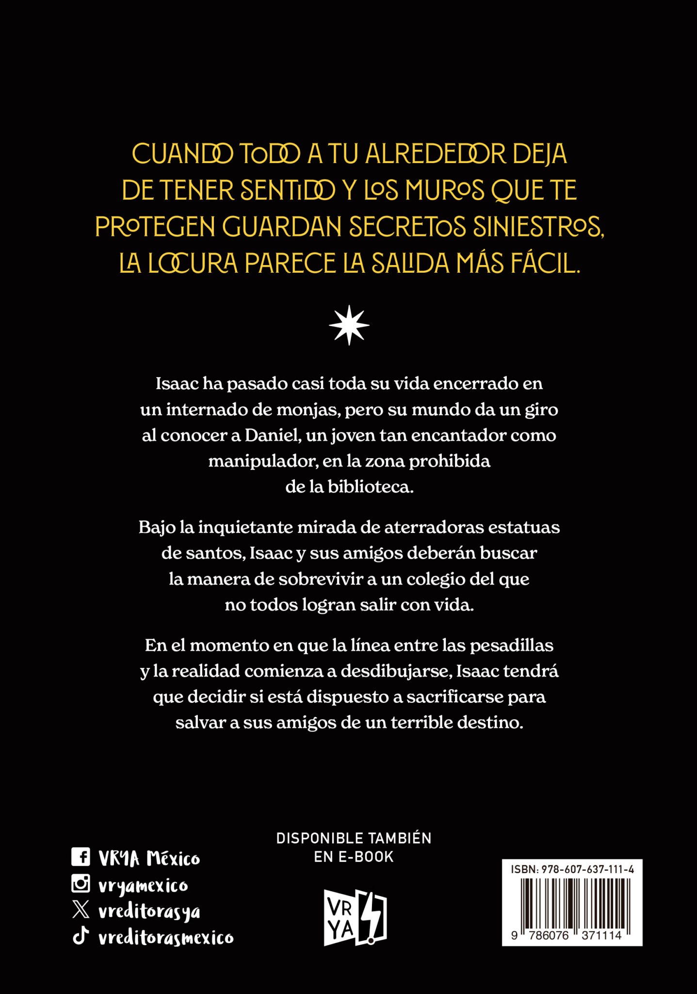 Cuando cierro los ojos se van los santos – VR Editoras